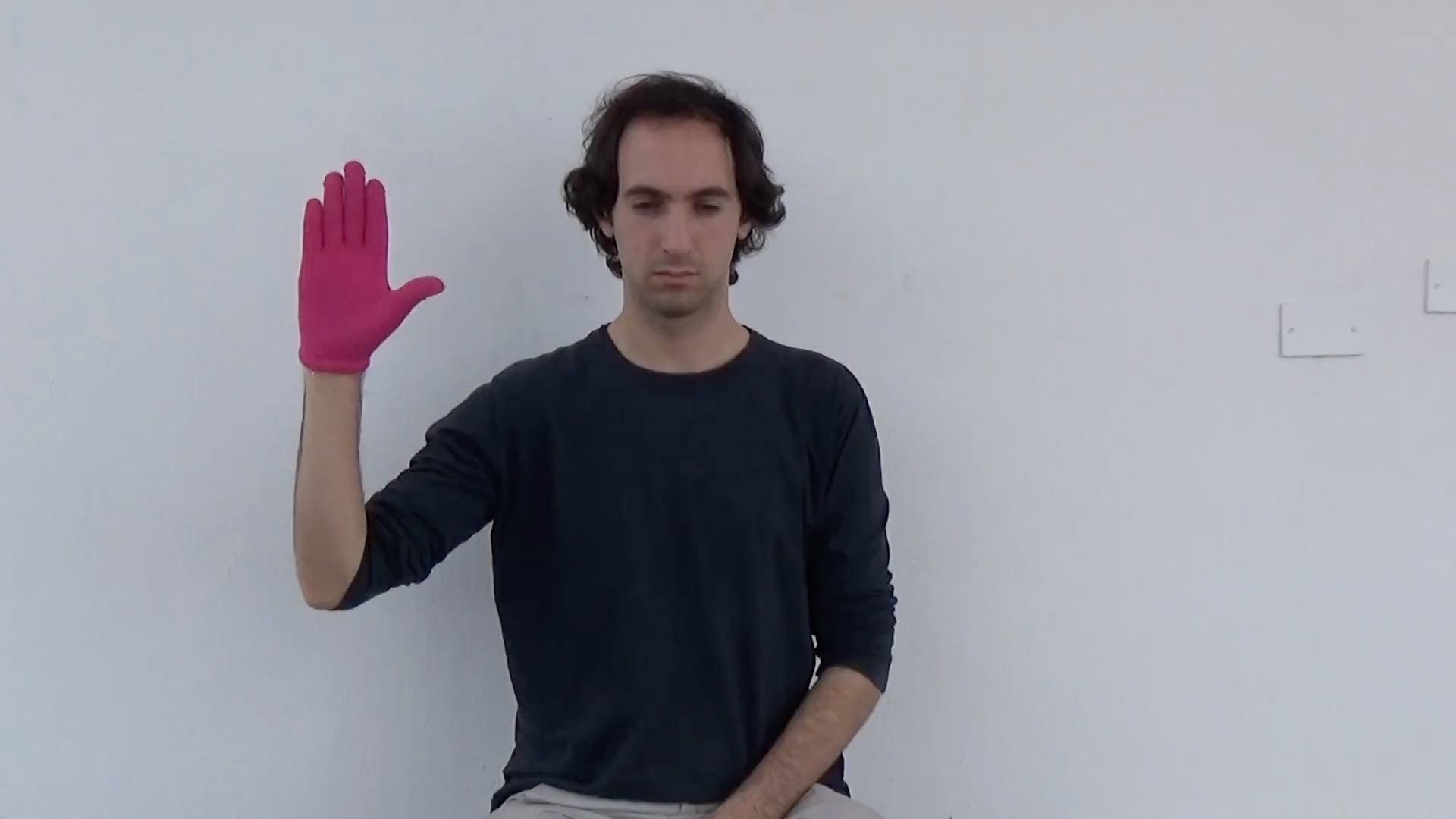 ASL Object Detection Dataset and Pre-Trained Model by personal