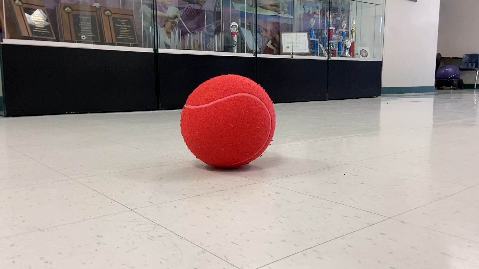 Ball Color Detector Object Detection Dataset And Pre Trained Model By New Workspace Ghita