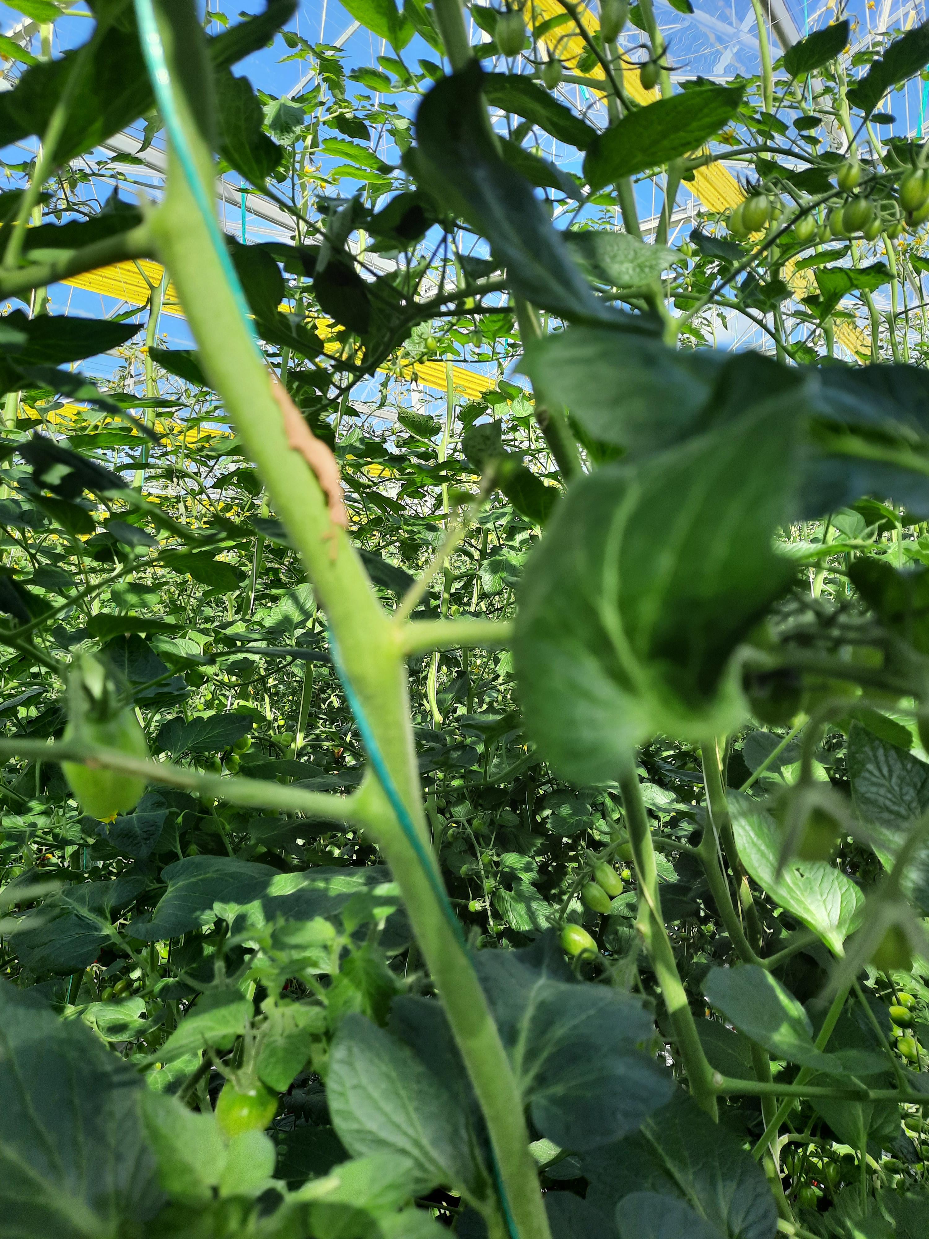 ssssss Object Detection Dataset by new-workspace-4d7ww