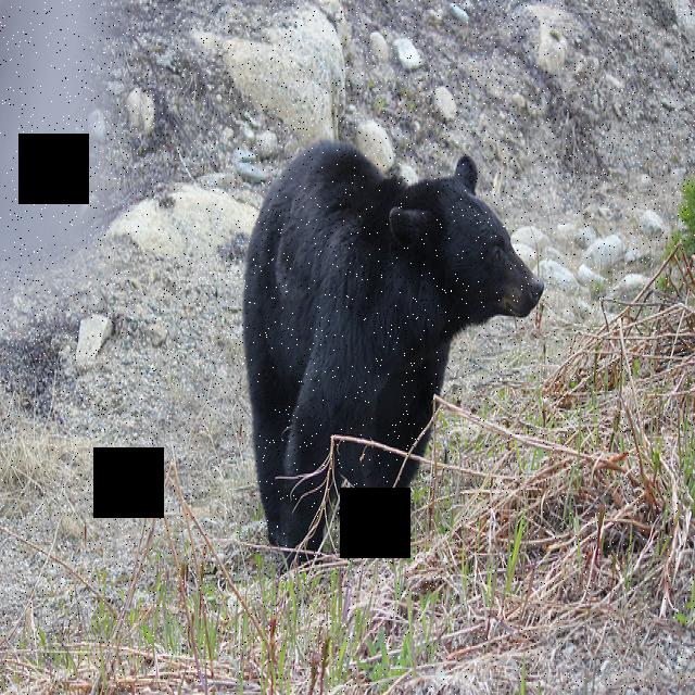 Bear Detection Object Detection Dataset by Animal Detection Bear Detection Object Detection Dataset by Animal Detection