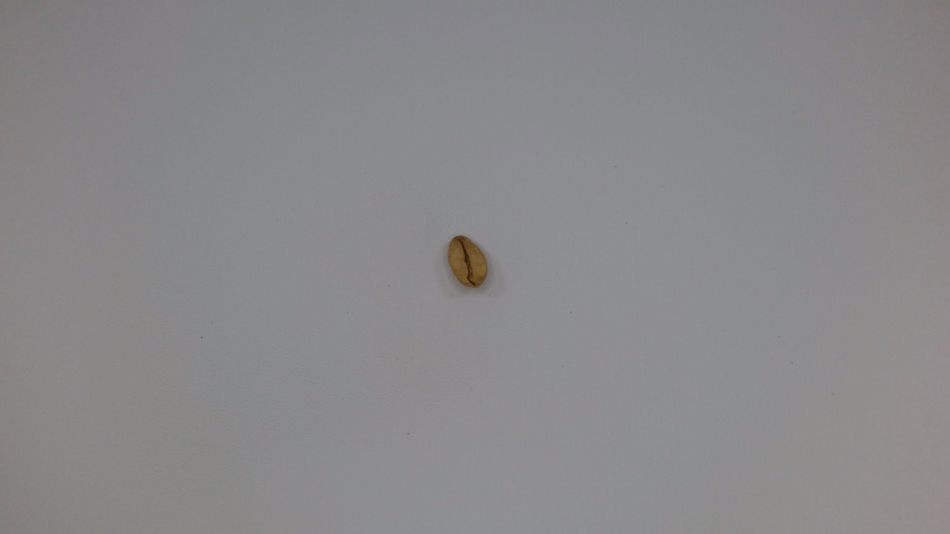 Coffee Quality Detection Object Detection Dataset and Pre-Trained Model by coffeebeans