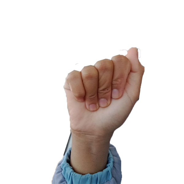 SIGN LANGUAGE Object Detection Dataset and Pre-Trained Model by UIN ARRANIRY