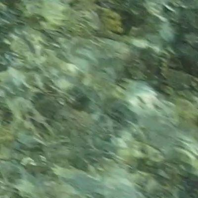 deeplearning Instance Segmentation Dataset and Pre-Trained Model by alascons