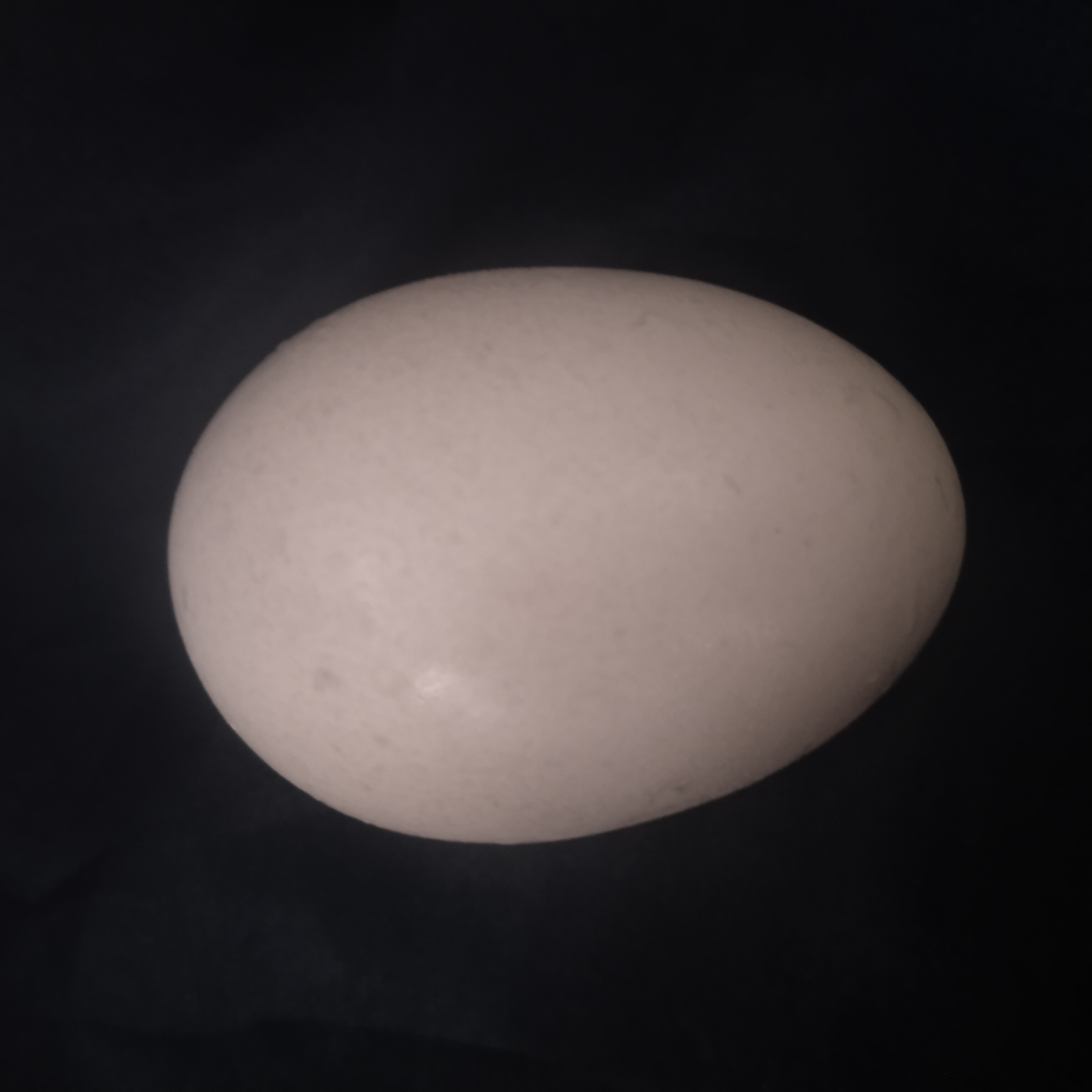 3 Class Egg Detection Final Object Detection Dataset And Pre Trained