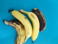 Rotten Fruit Detector Object Detection Dataset and Pre-Trained Model by ...