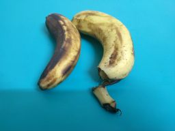 Rotten Fruit Detector ver 2 Object Detection Dataset and Pre-Trained ...