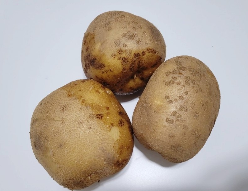 potato(수정) Object Detection Dataset by 2022project