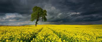 Aymen Bouguerra (aymen-bouguerra-xcnsf) - Roboflow Universe