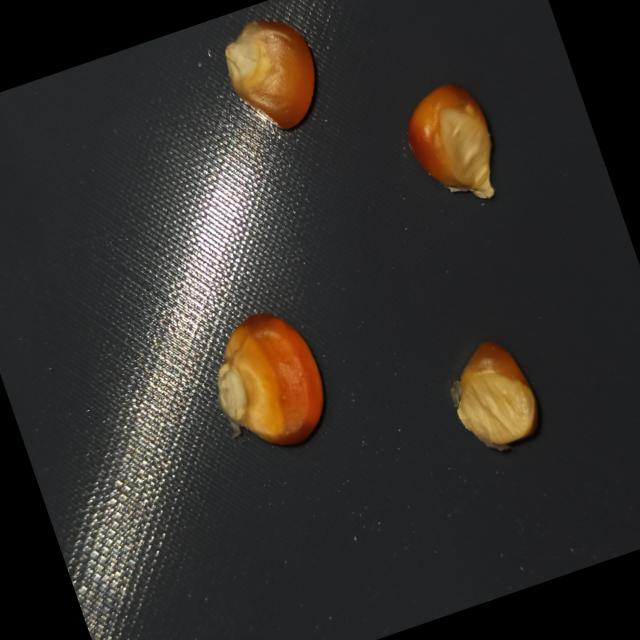 How to Use the rice grain 5 Object Detection API