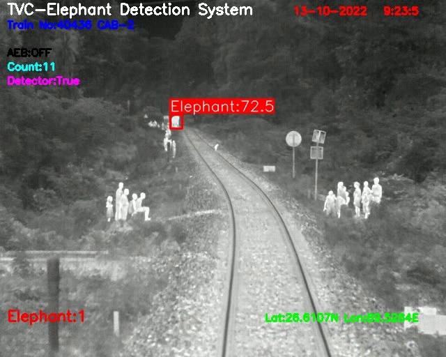 elephant Object Detection Dataset by ts