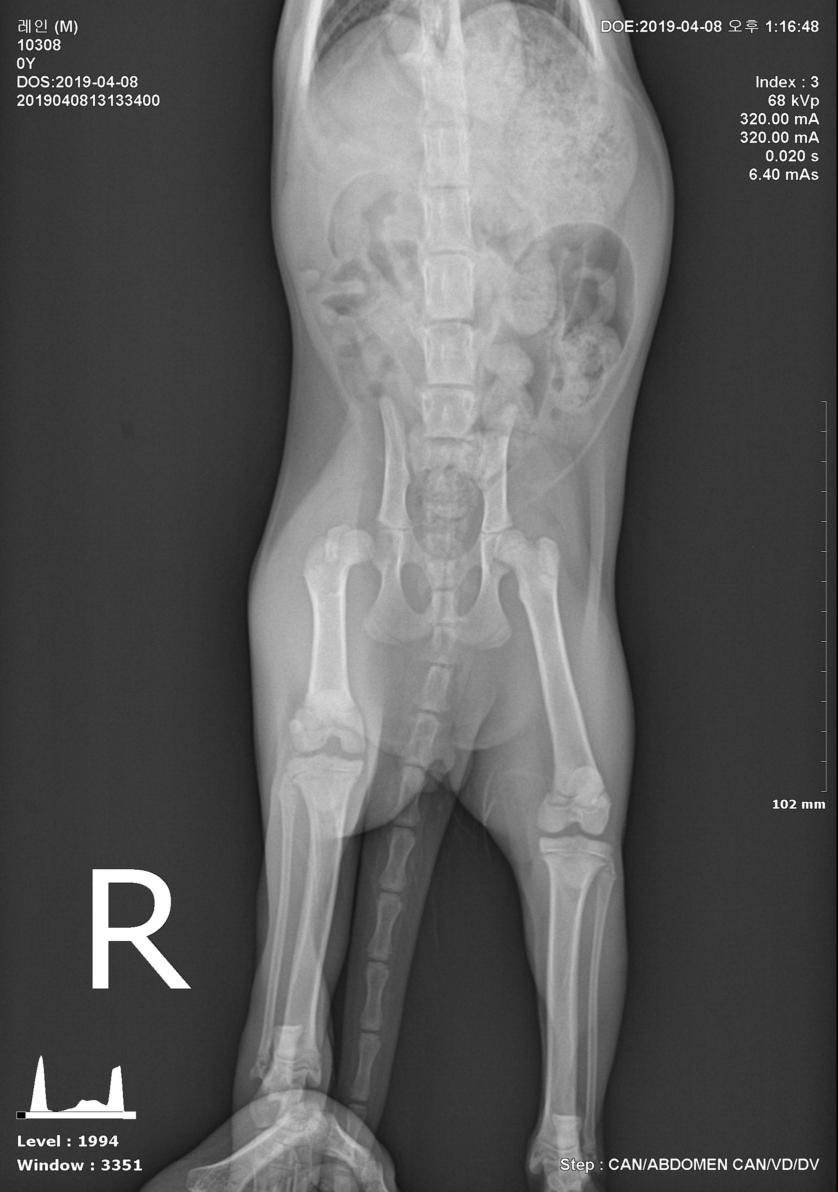 x-ray Object Detection Dataset by 2classxray
