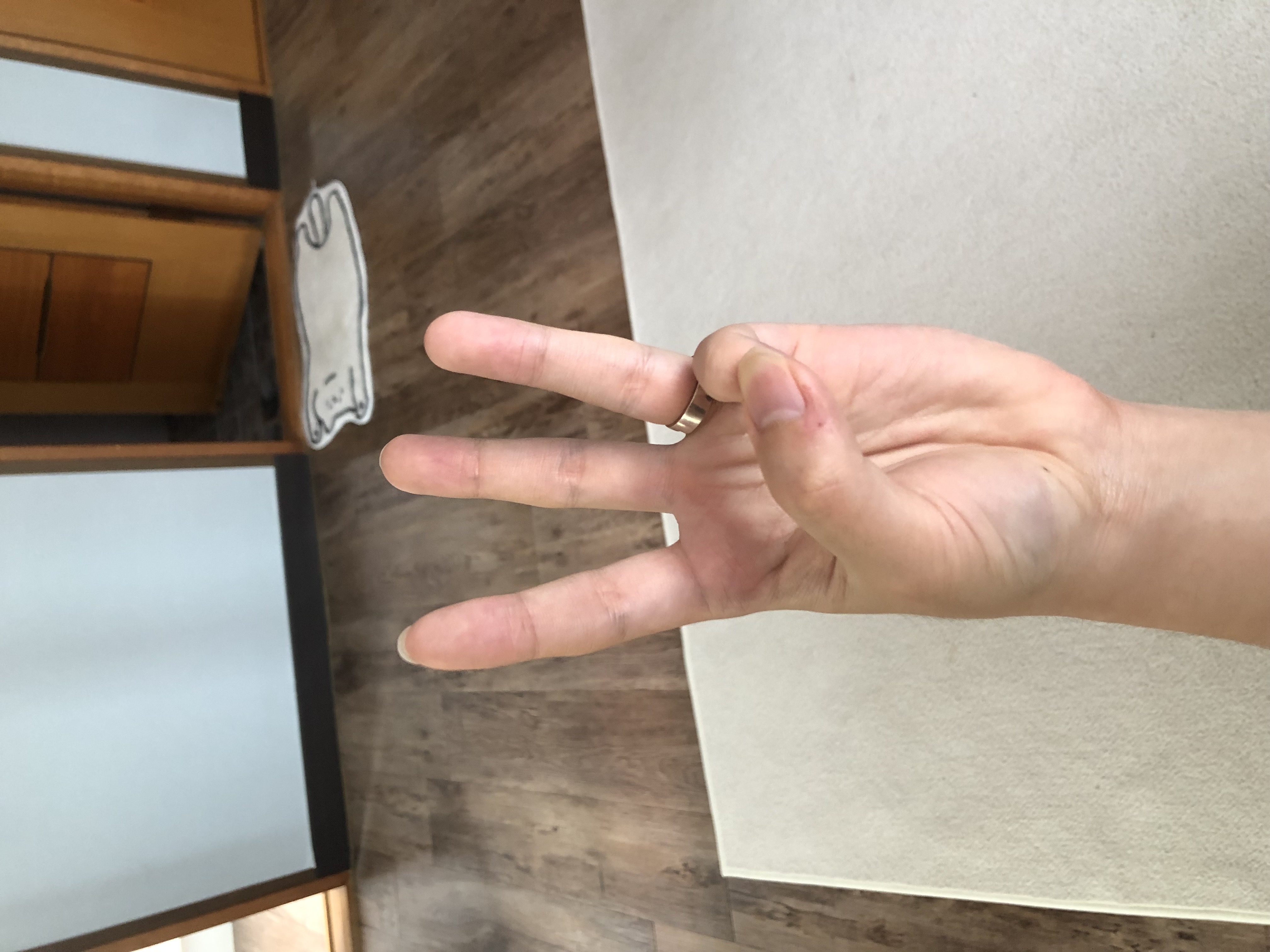 asdasdad - Roboflow Universe