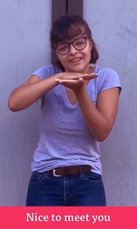 I3D Object Detection Dataset and Pre-Trained Model by THESIS PROJECT