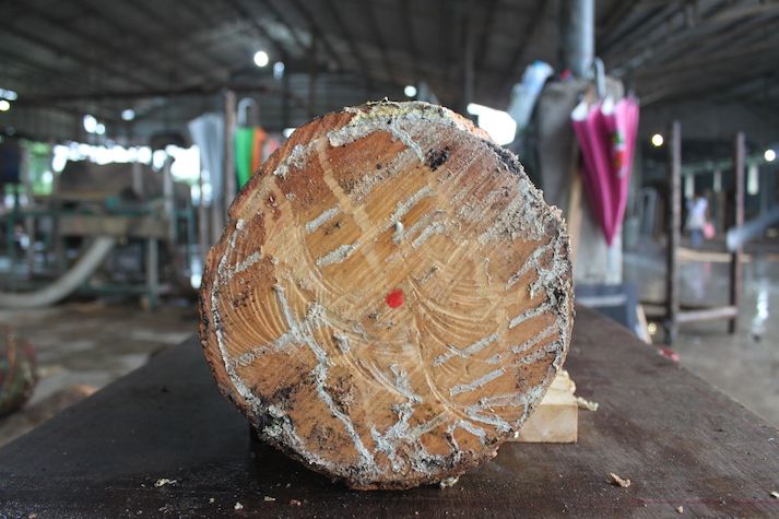 Wood Cross Section Detection Classification Dataset by Walailak University