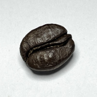 Coffee Beans Object Detection Dataset and Pre-Trained Model by Coffe Dataset