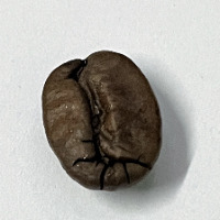 Coffee Beans Object Detection Dataset and Pre-Trained Model by Coffe ...