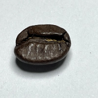 Coffee Beans Object Detection Dataset and Pre-Trained Model by Coffe ...