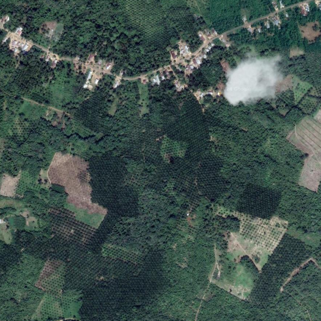 Palm oil 2 Instance Segmentation Dataset by Monce