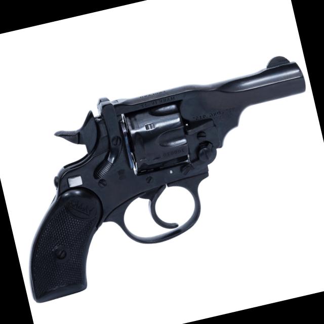 How to Use the Guns types Classification API