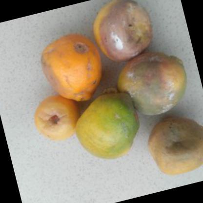 fruits grading Object Detection Dataset and Pre-Trained Model by bhavya
