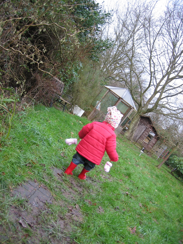 Human Movements Object Detection Dataset and Pre-Trained Model by ...