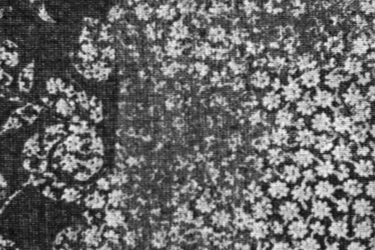 Fabric Defect Detectionnn7 Classification Dataset V1 2023 06 26 5