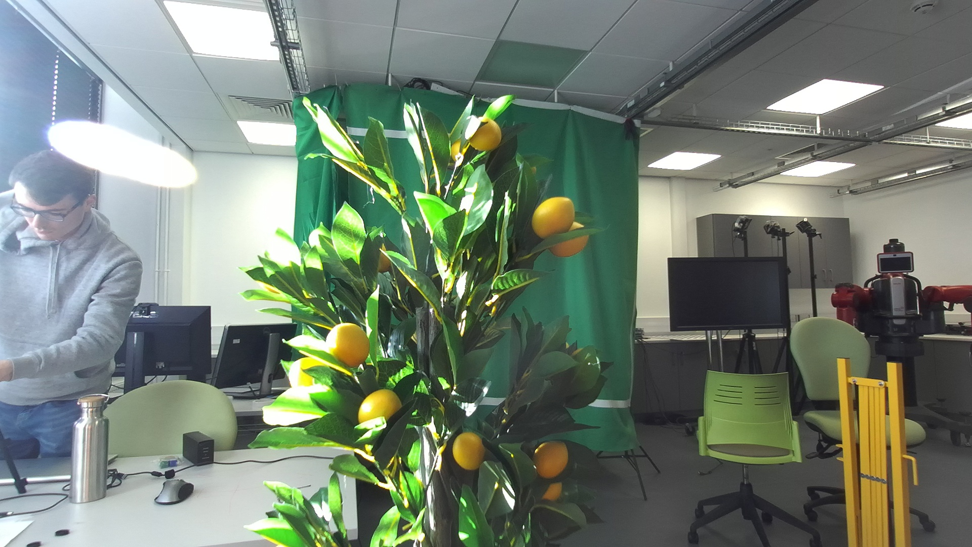 Fruit Detection Object Detection Dataset And Pre Trained Model By Fruit