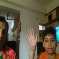 Hand Posture classification Object Detection Dataset and Pre-Trained Model by sarvasuvidha