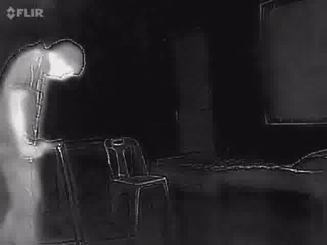 Fall Object Detection Dataset By Dipali