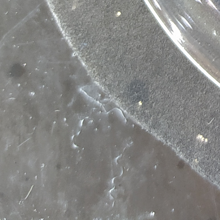 Nauplios-partes Object Detection Dataset by nauplio