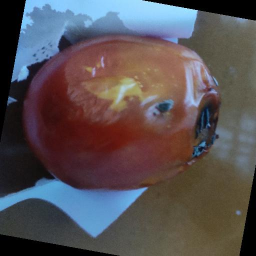 all_final_tomatoes Object Detection Dataset and Pre-Trained Model by tomato detector team