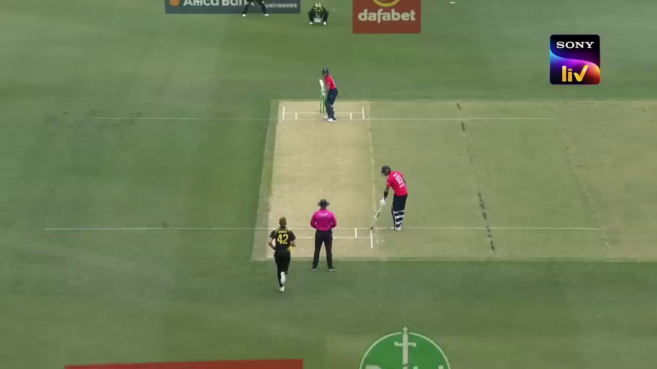 Cricket Ball Detection Object Detection Dataset And Pre Trained Model By Cricket Nlp