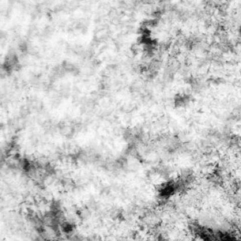 precision agriculture Object Detection Dataset by rit