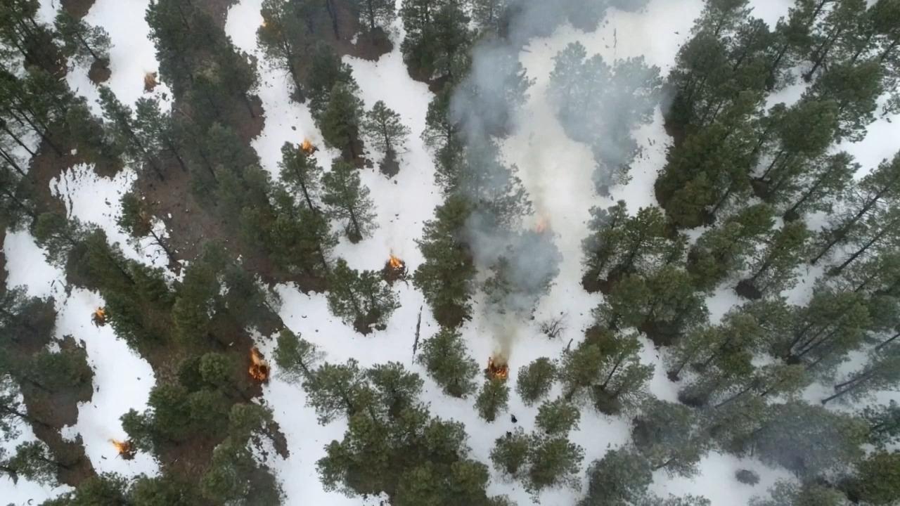 Forest Fire Detection Object Detection Dataset And Pre Trained Model By Auic