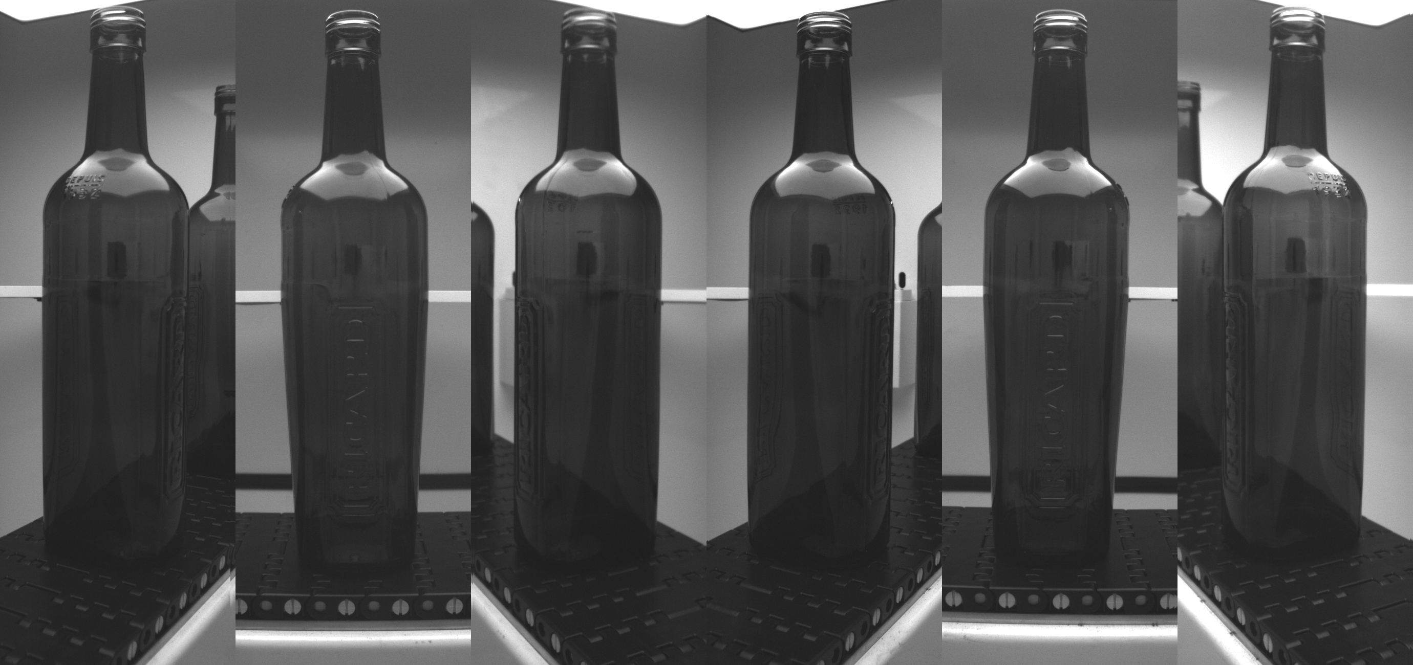 Richard-Bottle Object Detection Dataset by Gang
