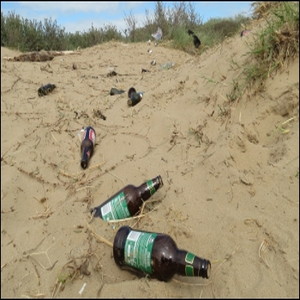 trash Object Detection Dataset and Pre-Trained Model by Mitsuki Kimura