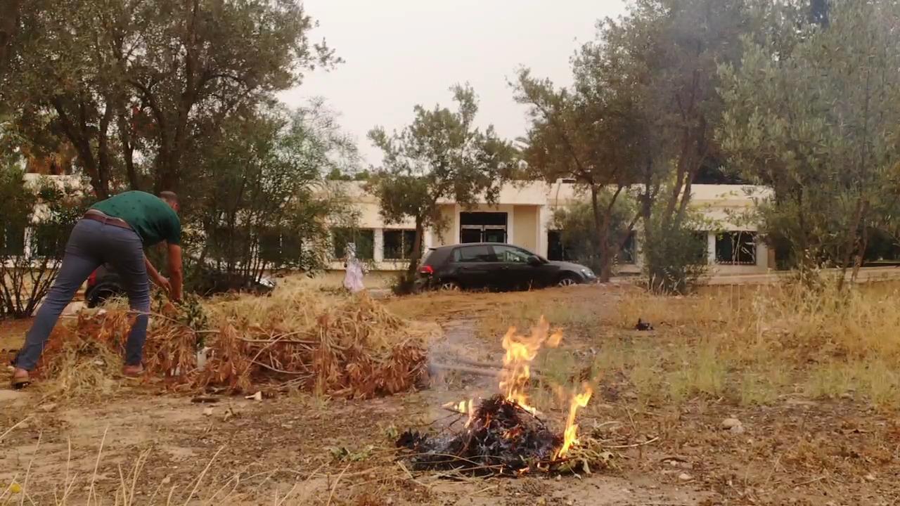 Fire2.1 Object Detection Dataset by Forest