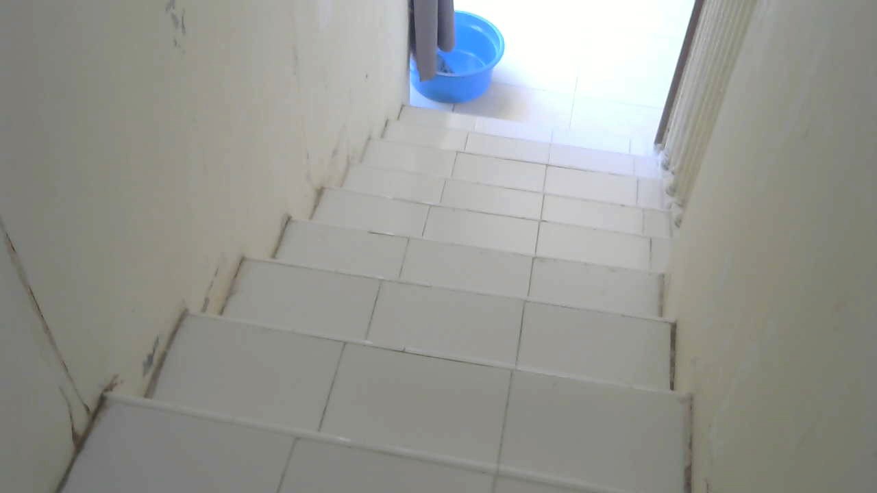Stair Detectionv3 Yolov4 Object Detection Dataset V1 Brightness