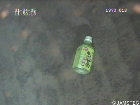 Underwater Debris Detection Roboflow Universe