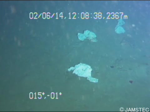 marine debris detection Object Detection Dataset by underwater debris ...