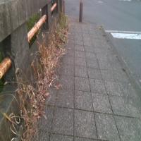 Sidewalk Segmentation Instance Segmentation Dataset and Pre-Trained Model by Sidewalk