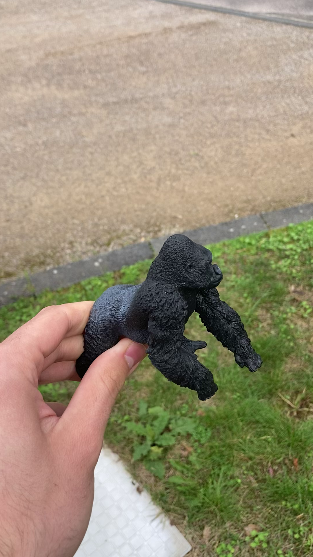 Schleich Demo Object Detection Dataset and Pre-Trained Model by JAKOBS WORKSPACE