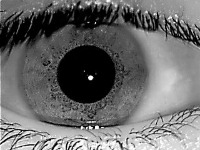 iris_120_set Object Detection Dataset and Pre-Trained Model by new-workspace-0xdgg