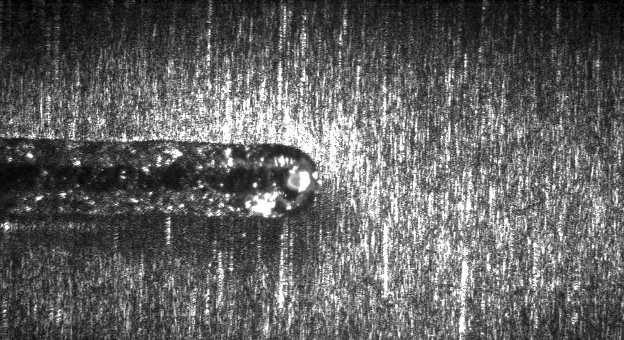 Ring-core keyhole Object Detection Dataset by nana