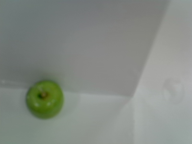 Tree-Apple Object Detection Dataset and Pre-Trained Model by AgriRobot230929