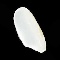 Rice Classification Dataset and Pre-Trained Model by Mahidol University