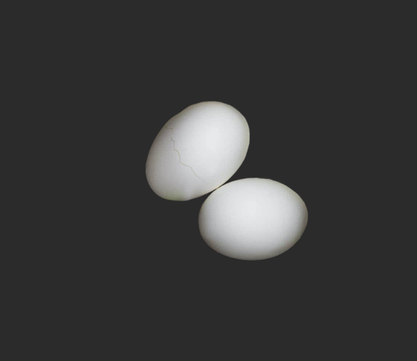 Egg Crack Detection Object Detection Dataset By Lakshmi Kaviti