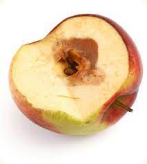 How to Use the Proyecto_Manzana_Bayona_Marcos Object Detection API