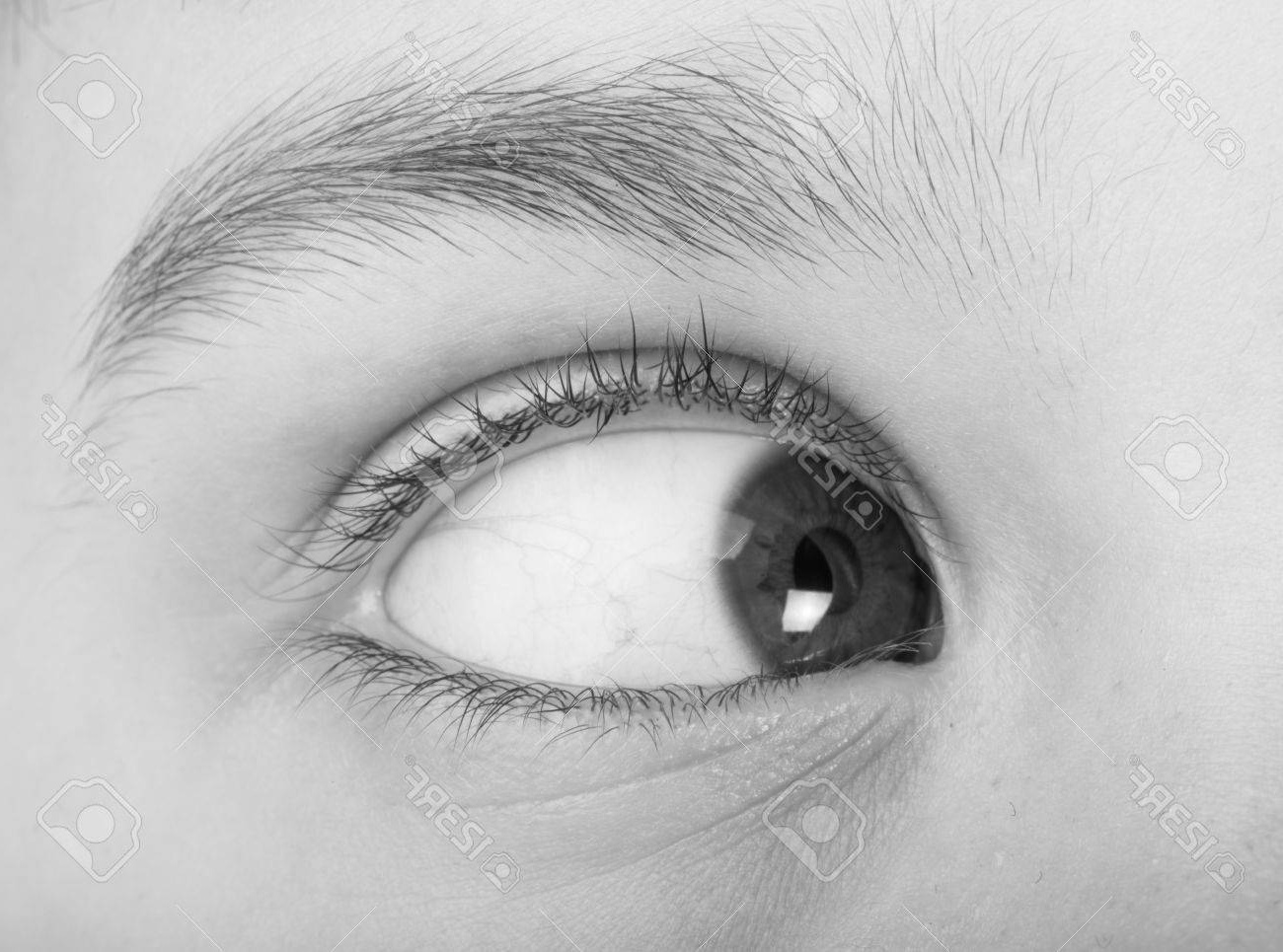 eyes-loc Object Detection Dataset and Pre-Trained Model by Shaina Tan