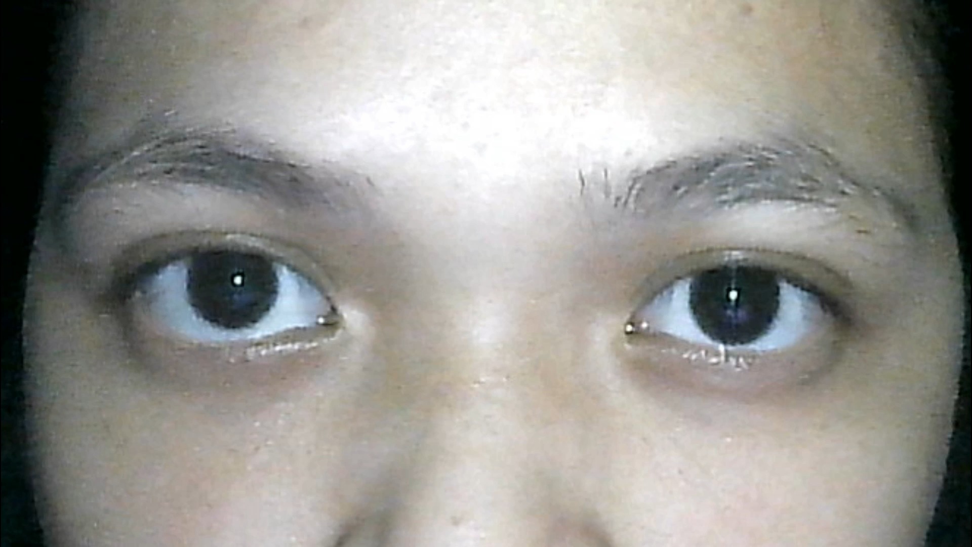 iris_2.0 Object Detection Dataset and Pre-Trained Model by Shaina Tan